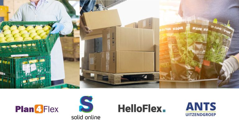 Plan4Flex - Solid Online